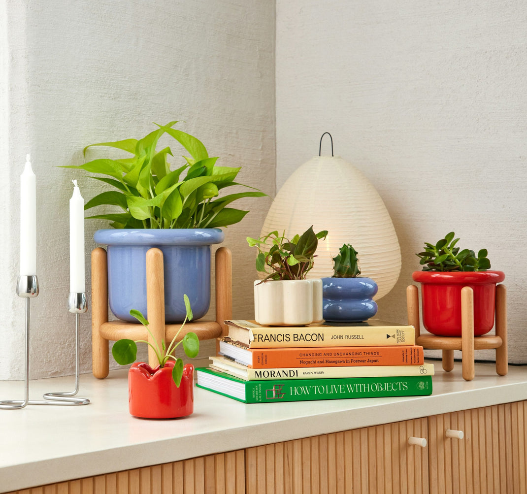 Our Story – Hey Rooted