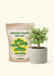 Mini Jade, Small – Hey Rooted