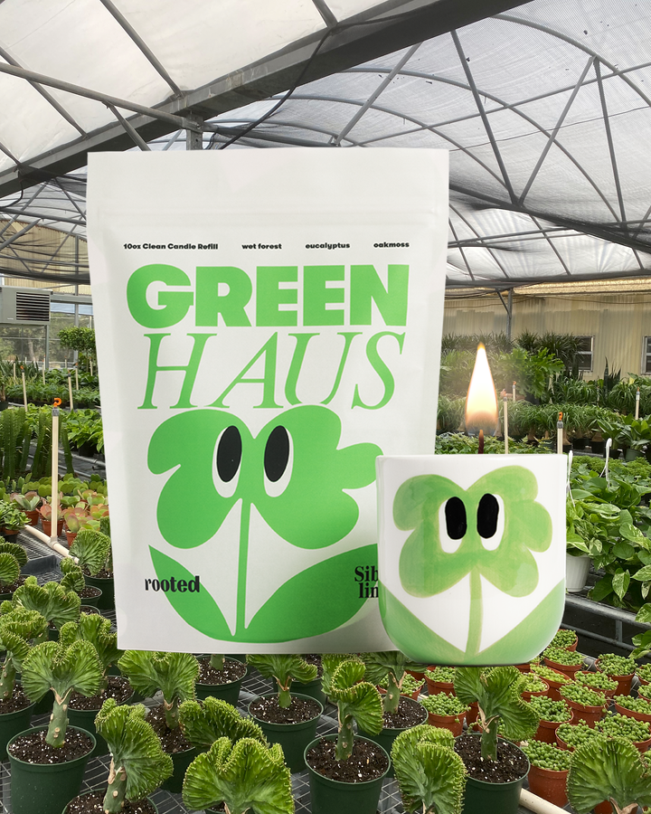 Online Plant Subscription and Delivery I Rooted – Hey Rooted