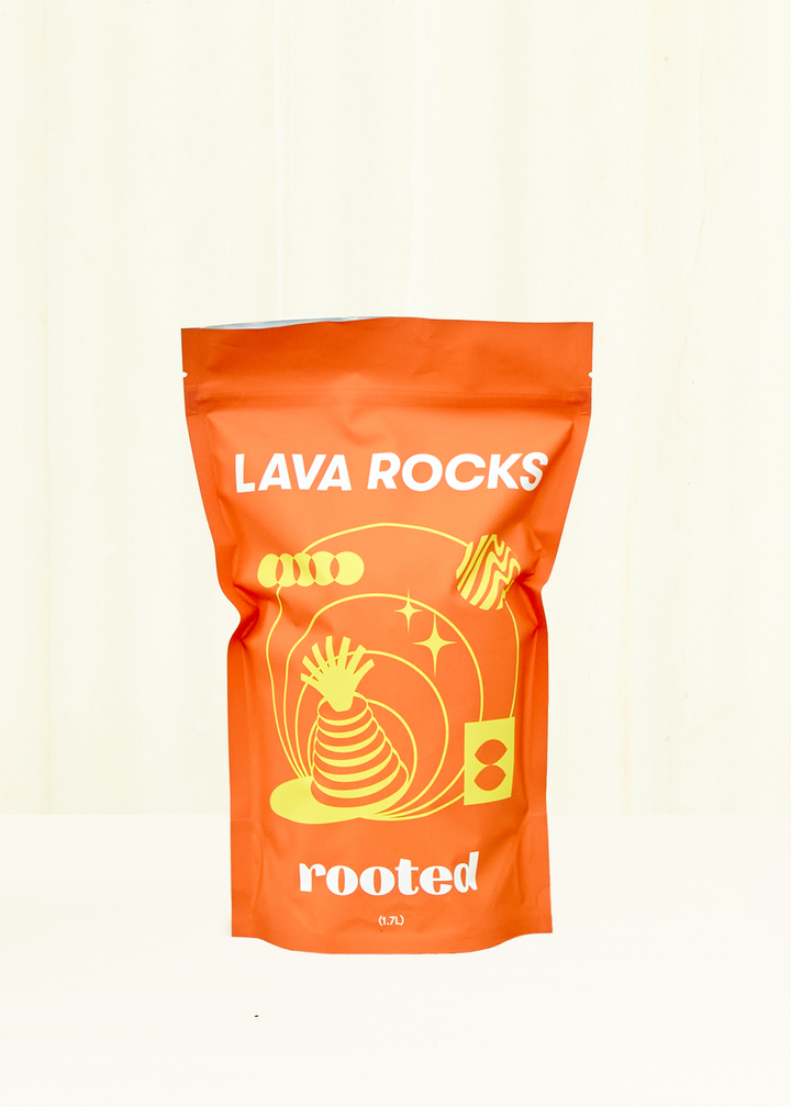 Plant Supplies for Indoor and Outdoor Use I Rooted – Hey Rooted
